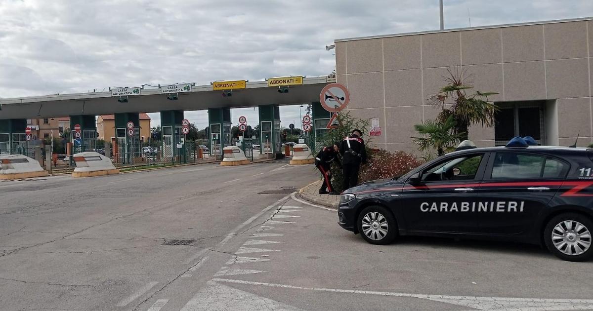 Tenta di rubare al Centro Alimentare all'ingrosso ma viene messo in fuga - Foto 1 di 1 - Latina Oggi