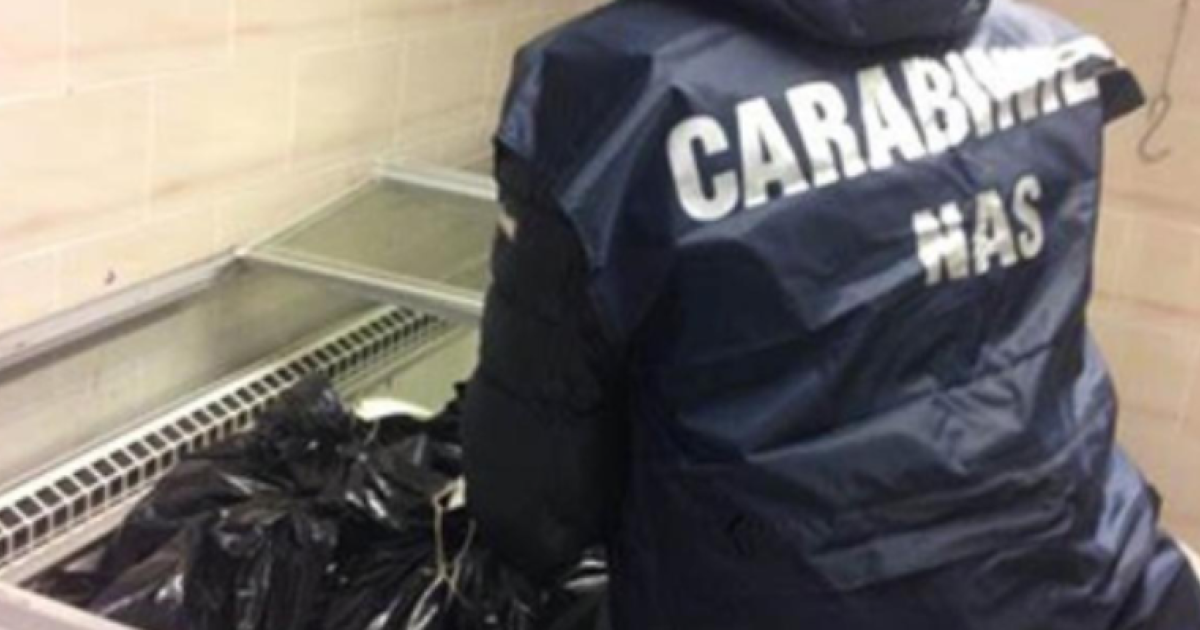 Andie xelle scandal she tries to make the process quick