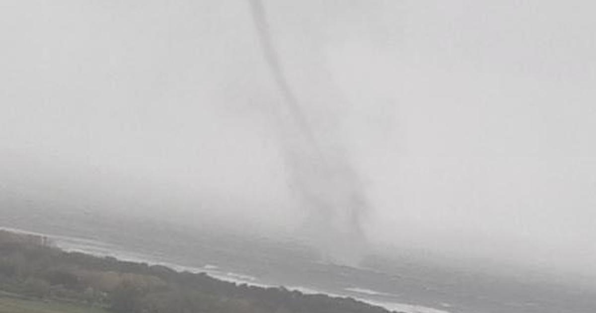 Maltempo, tromba d'aria nella notte: danni e alberi caduti per il forte vento - Foto 1 di 8 ...